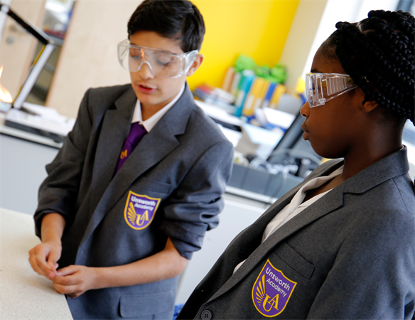 Unsworth Academy Career Site